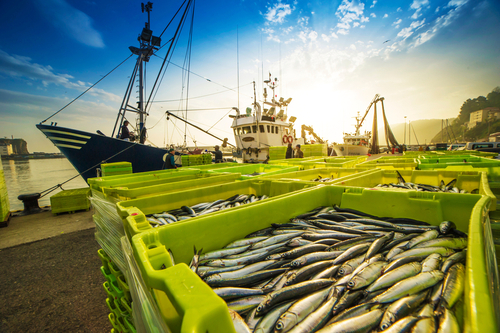 On World Fisheries Day, EXIM Spotlights Exporter Success
